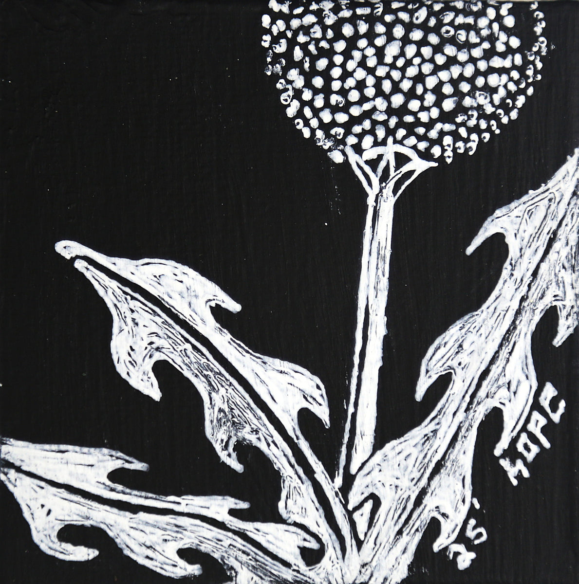 Lions & Tigers & Bears, Oh My – H*Art Gallery