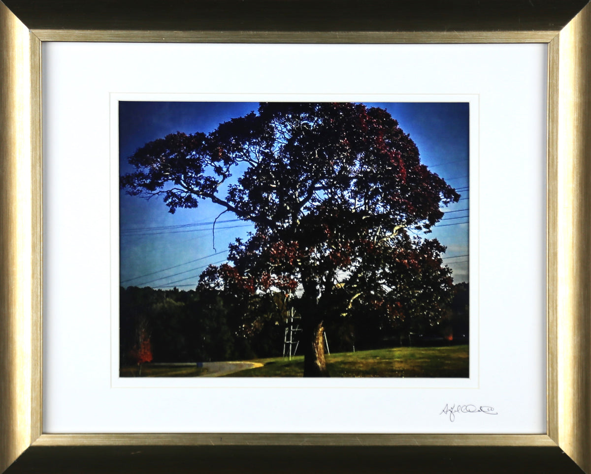 Progress of Civilization – H*Art Gallery